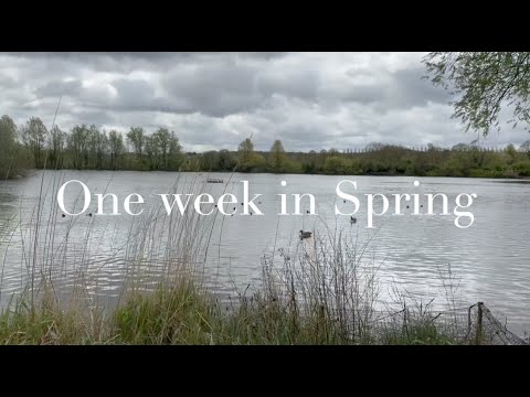One week in Spring Short Film - YouTube