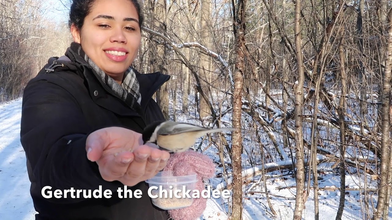 Let's Go On A Neature Walk! - YouTube