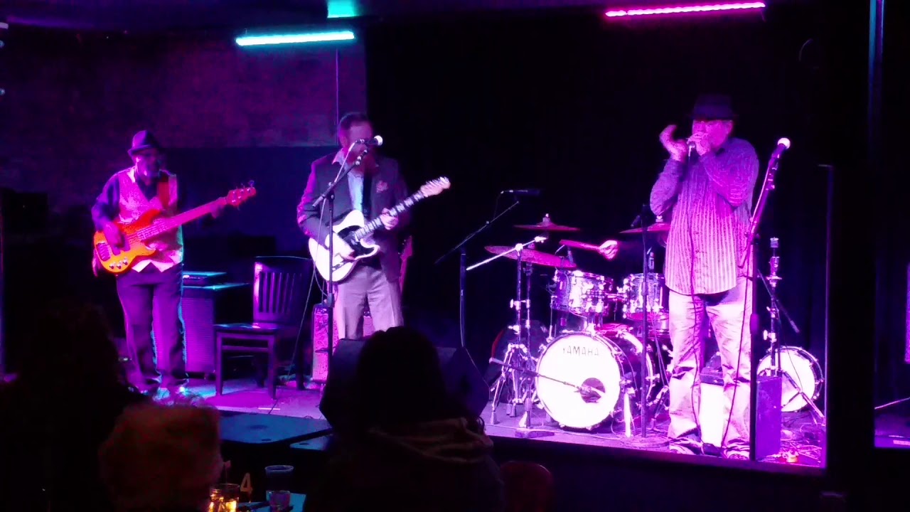 The Greezy Bullets - Low Down Dog - YouTube