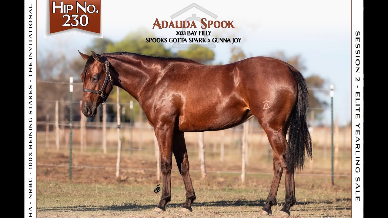 Adalida Spook - YouTube