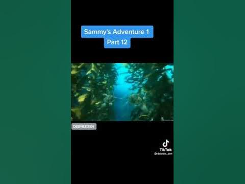 Sammy adventures shark clip - YouTube