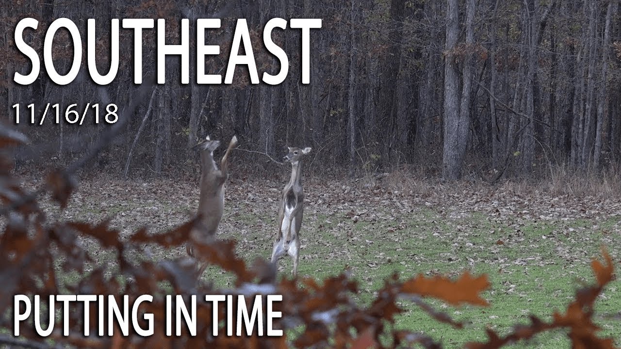 Southeast | Putting In Time - YouTube
