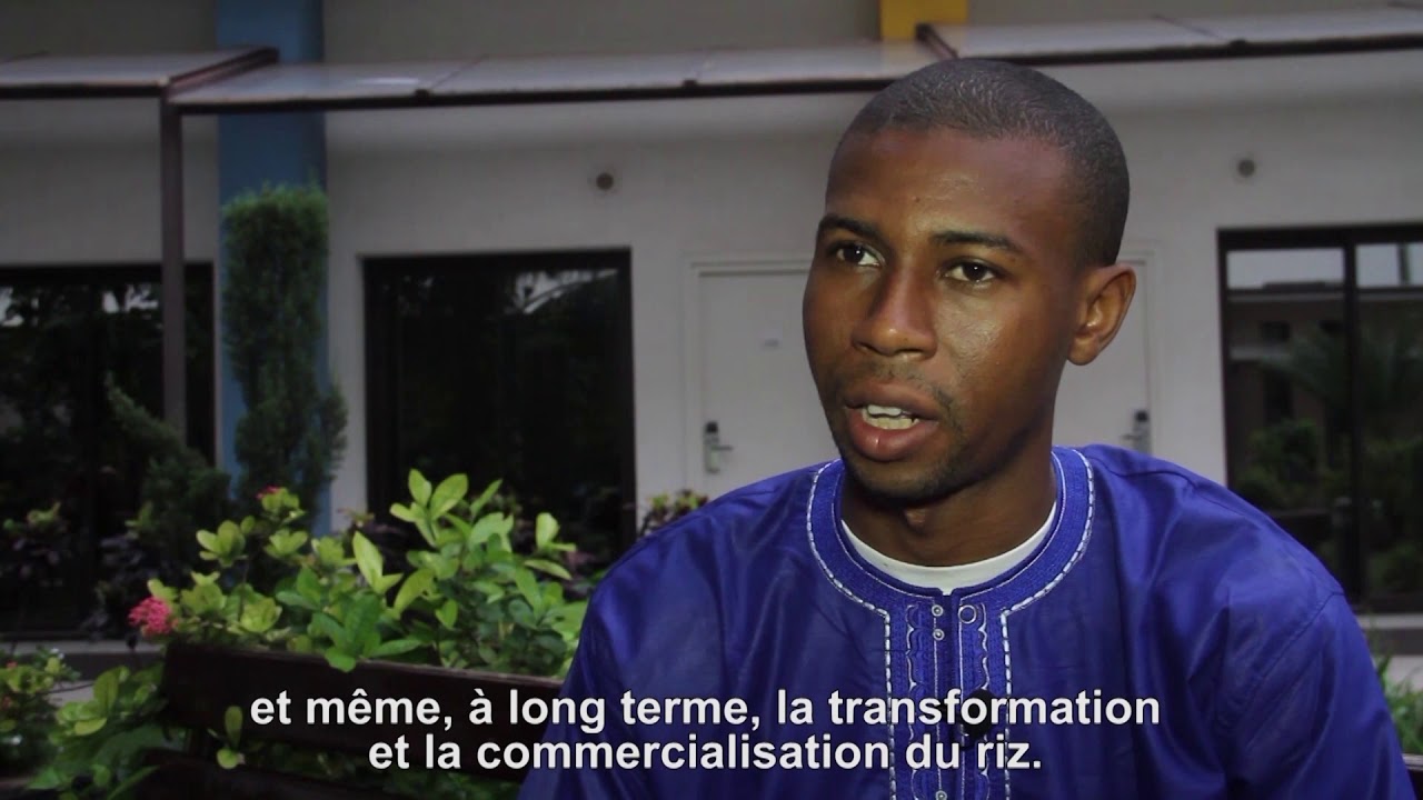 Devenir le plus grand producteur de riz du Mali. - YouTube
