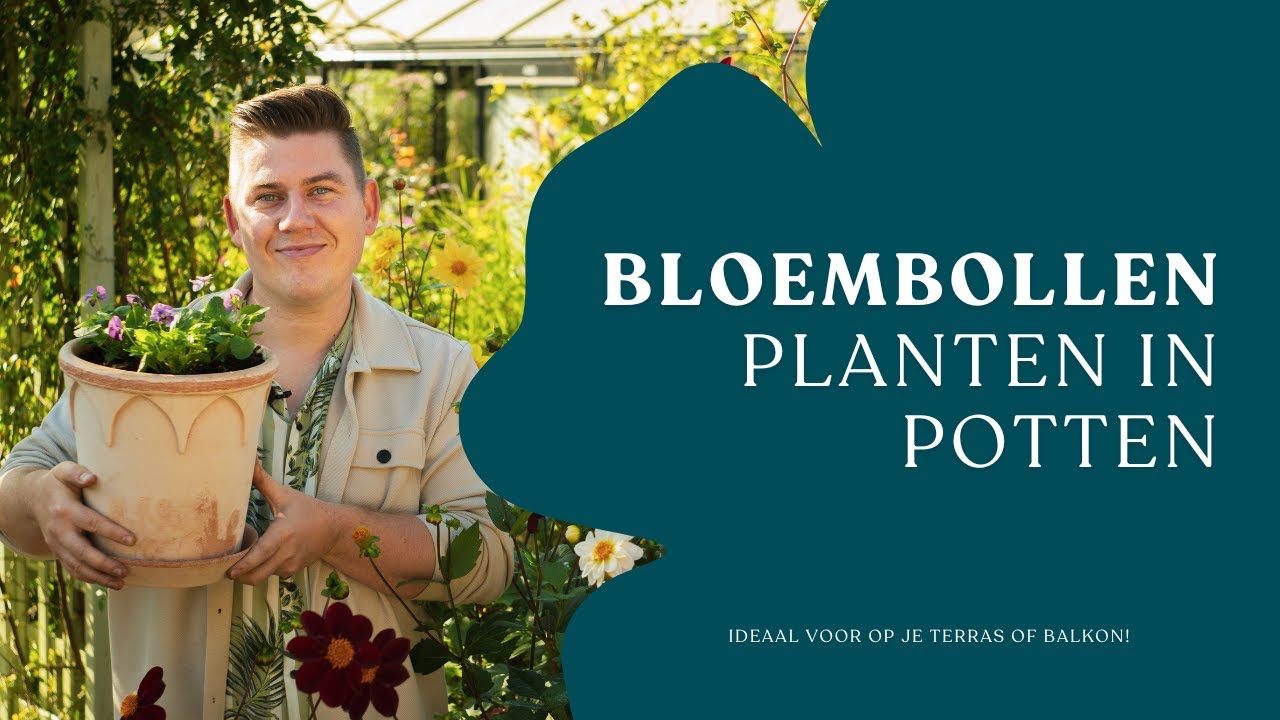 Bloembollen planten in potten: welke bollen kiezen en hoe te planten? I ...