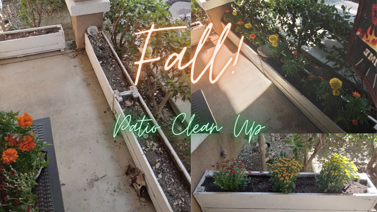Fall patio clean up!! - YouTube