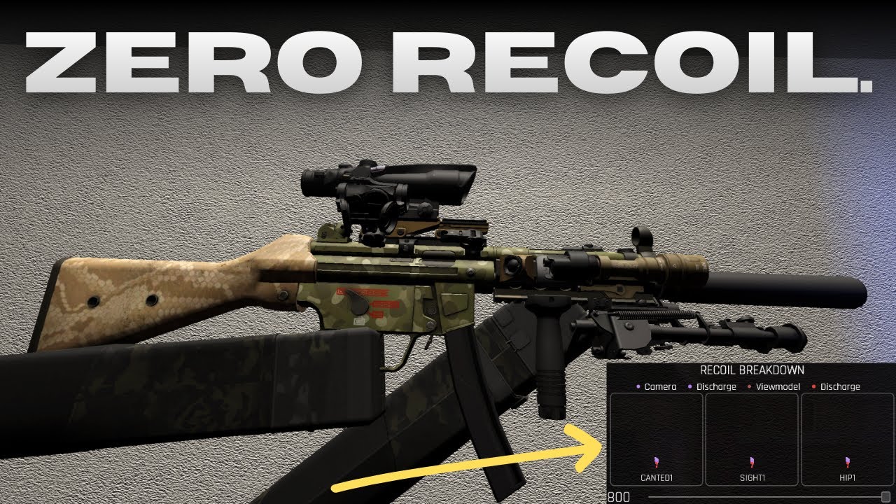 (ZERO RECOIL) The ULTIMATE Weight Maxing Guide [BRM5] - YouTube