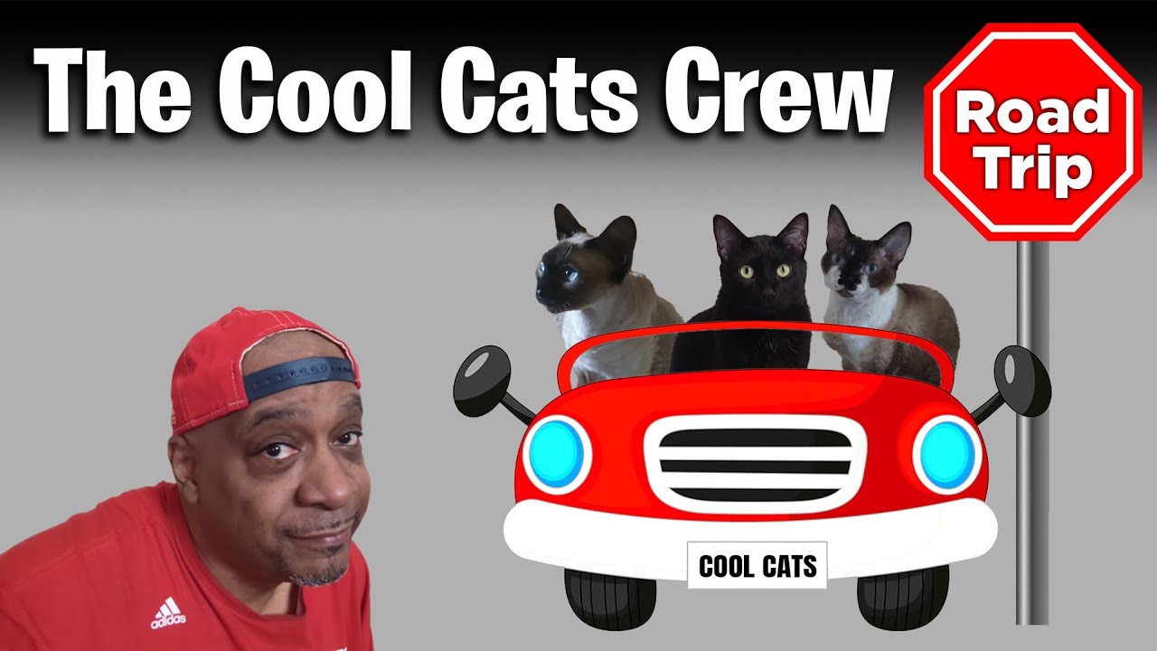 The Cool Cats Crew - Road Trip | Cool Cats & The D.E.V. - YouTube