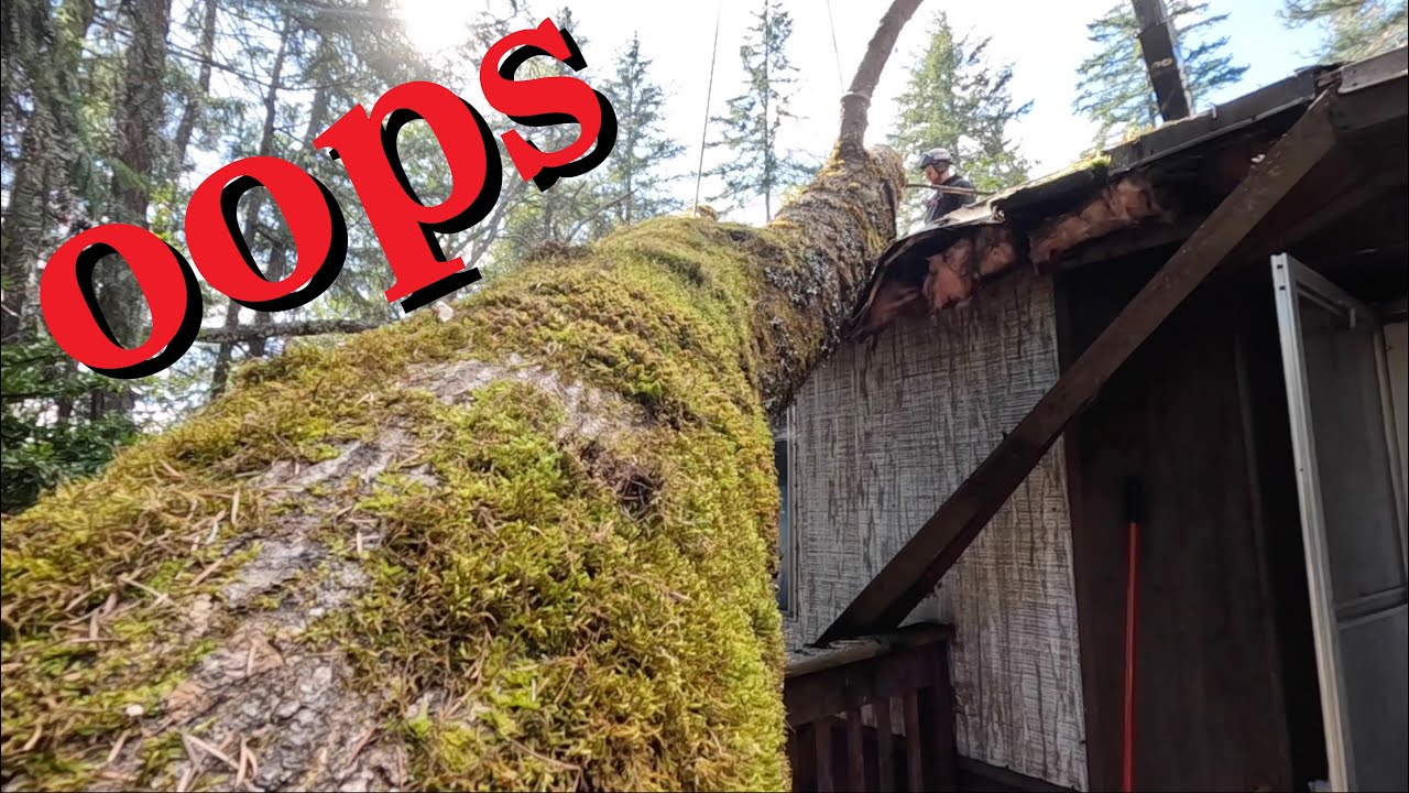 Tree Crushes Roof of Mobile Home - YouTube