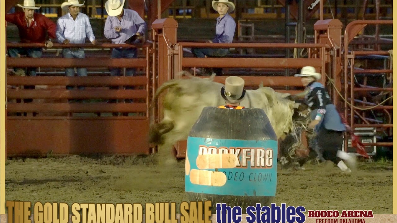 Gold Standard Bull Sale 3 - YouTube