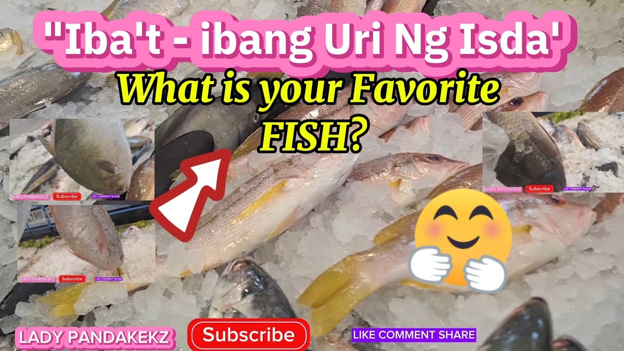 IBA'T-IBANG URI NG ISDA | IKAW ANONG PABORITO MONG ISDA? | LADY ...