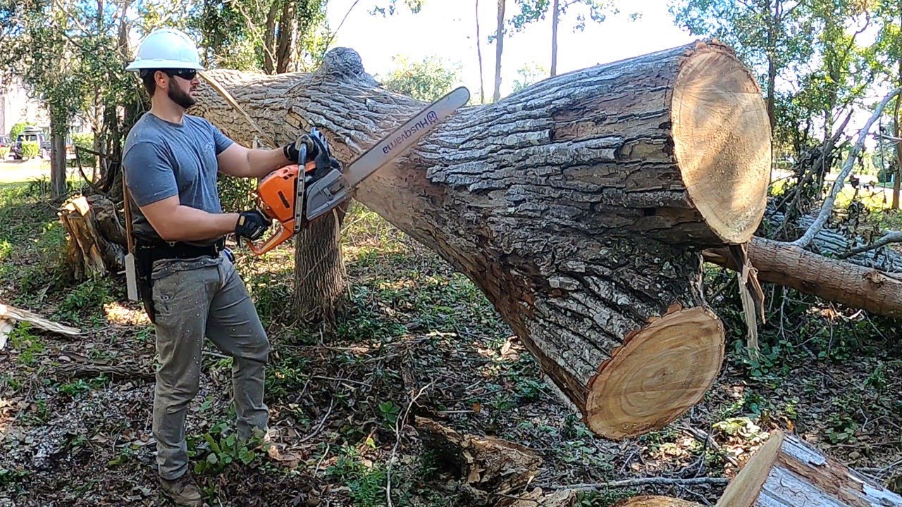 HERE COMES THE BOOM! BIG TREE FALL HARD! BUCKING A MASSIVE COTTONWOOD ...