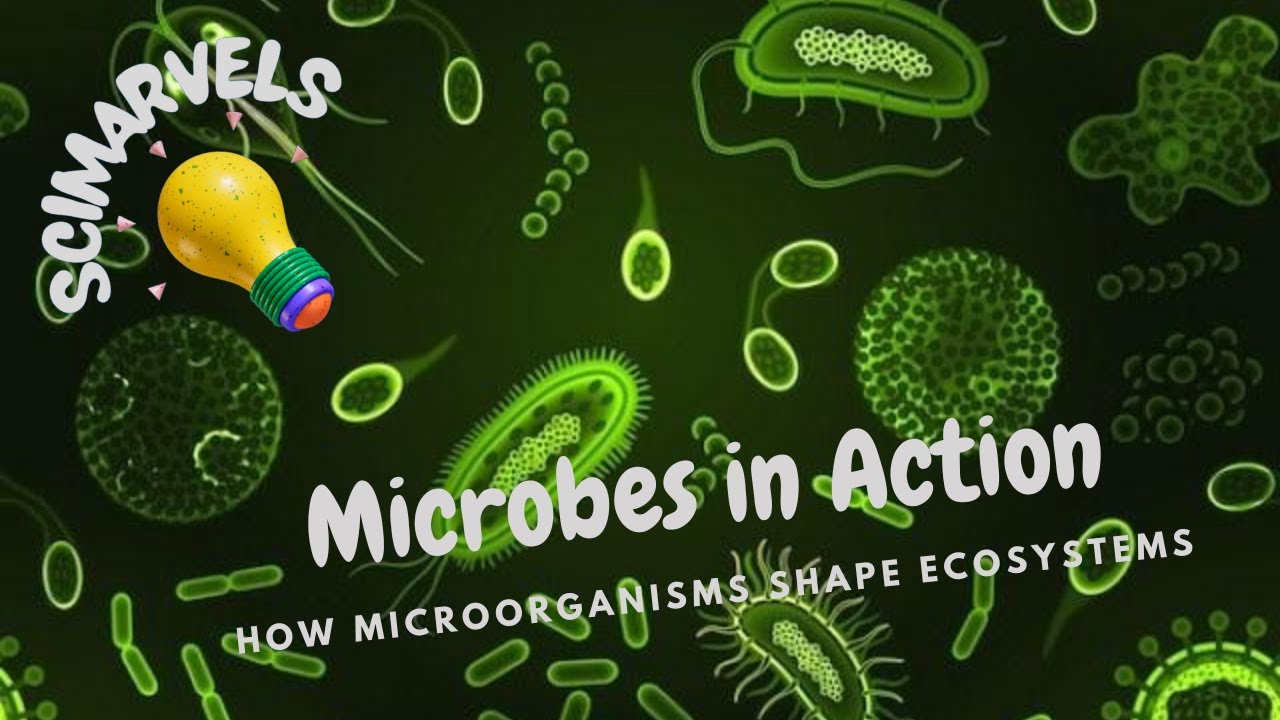 Microbes in Action: How Microorganisms Shape Ecosystems - YouTube