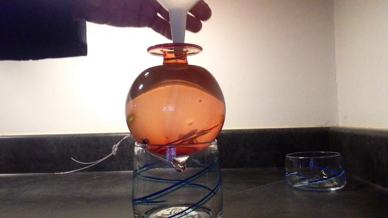 How to fill your Alex Kalish Glass Design Glass Hummingbird feeder ...