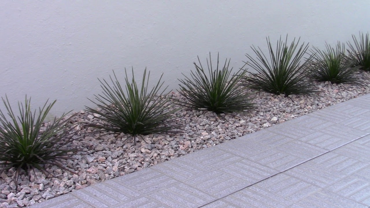 Exotic river rocks desert landscaping designs PART 10 - YouTube