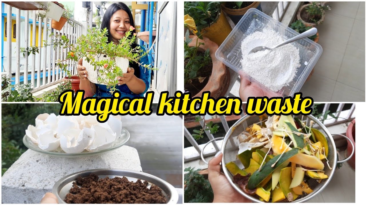 Magical Kitchen Waste - YouTube