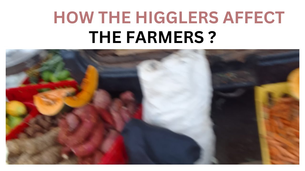 HOW THE HIGGLERS AFFECT THE FARMERS? - YouTube