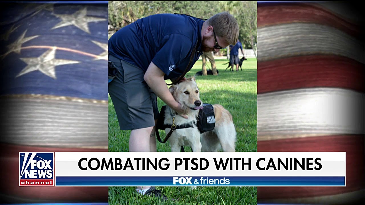 VETERAN Opens up about how his SERVICE DOG Saved His Life - YouTube