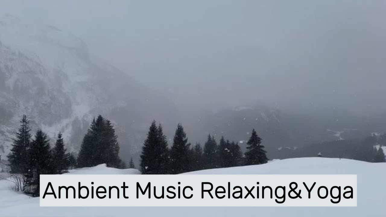 The Best Ambient Music of 2024 | Top 5 Tracks - YouTube