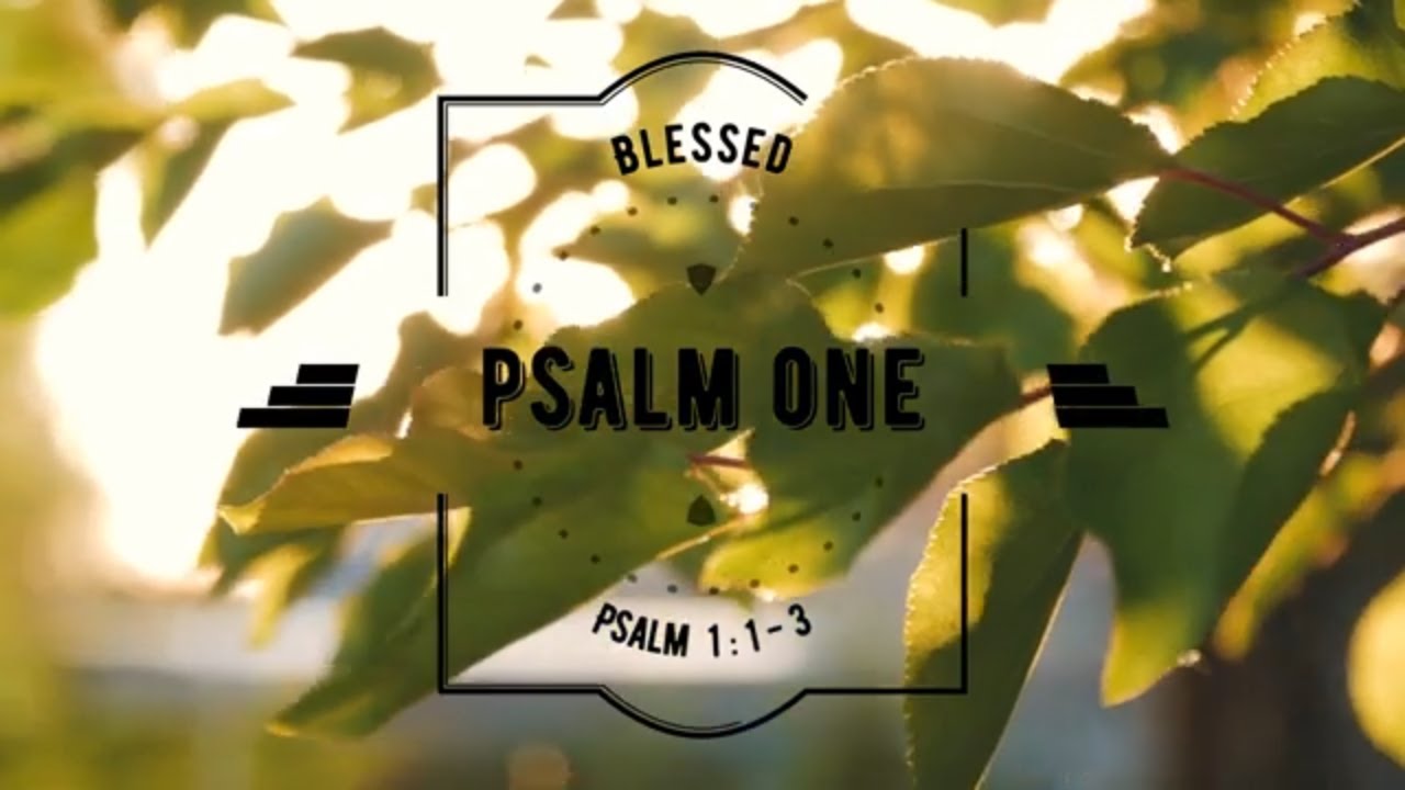 Psalm 1 Song | Blessed is the Man - YouTube