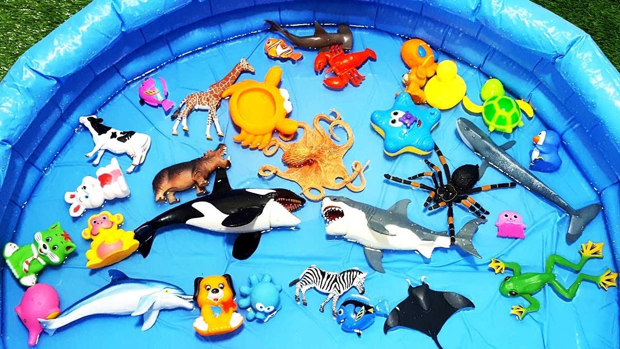 Learn Colors Sea Animals For Kids in Blue Pool Water Shark Tub For ...