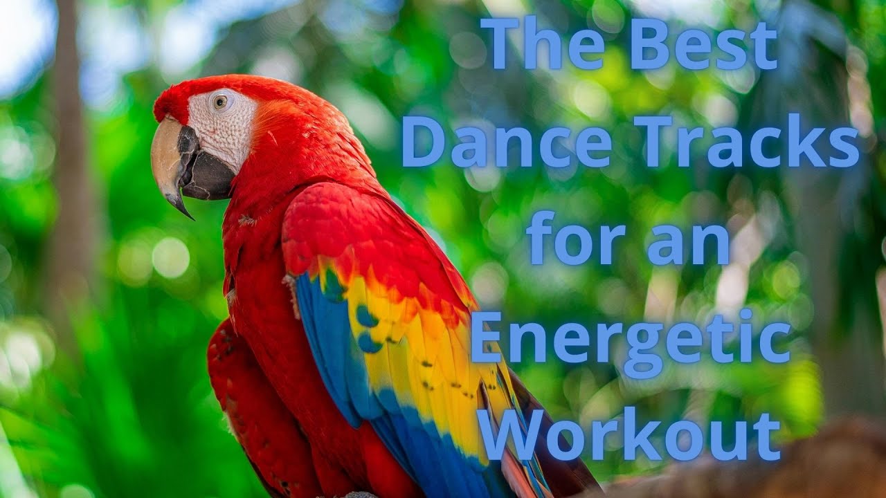 OPTIMISTIC MUSIC . Move to the beat: top dance tracks for Fitness ...