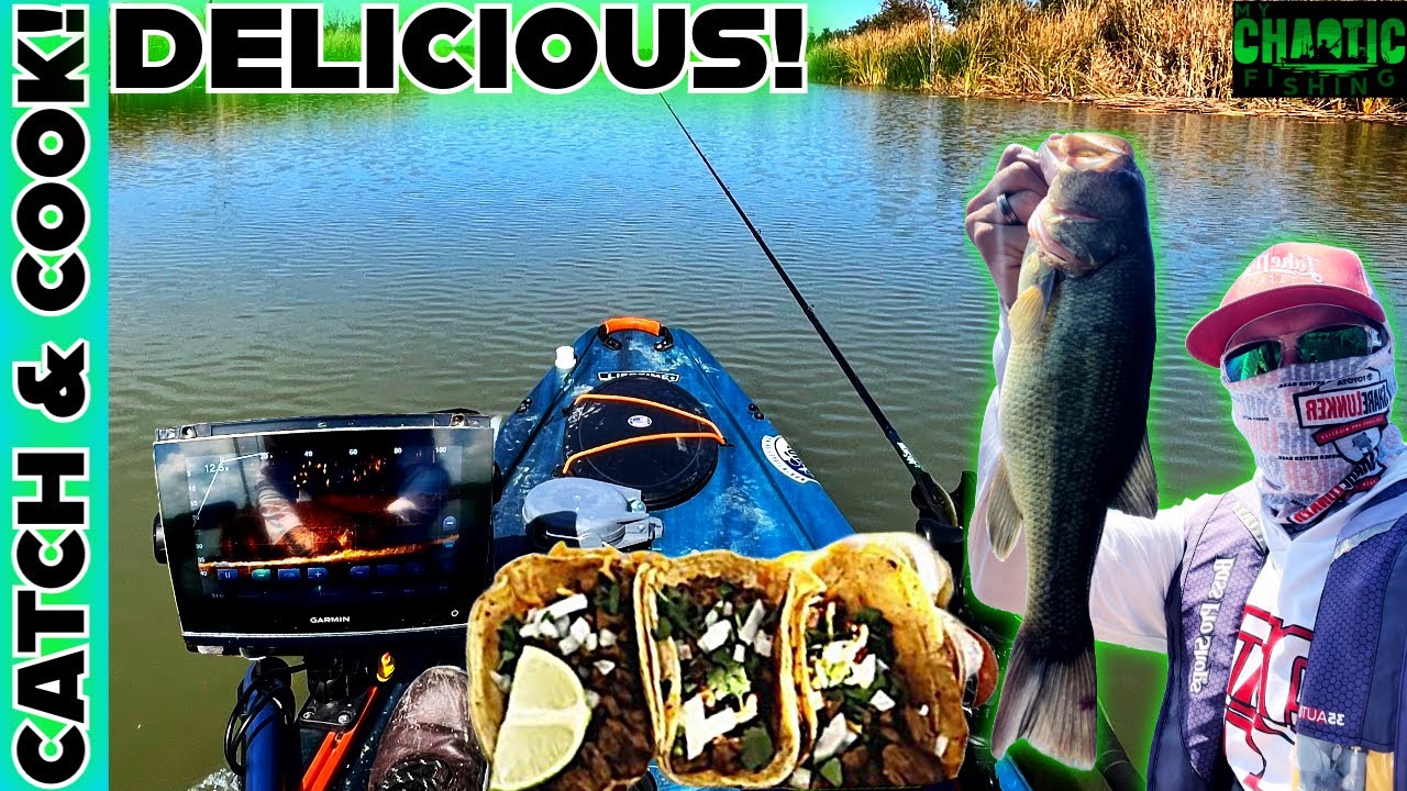 Catch and cook! AMAZING fishing & tacos! - YouTube