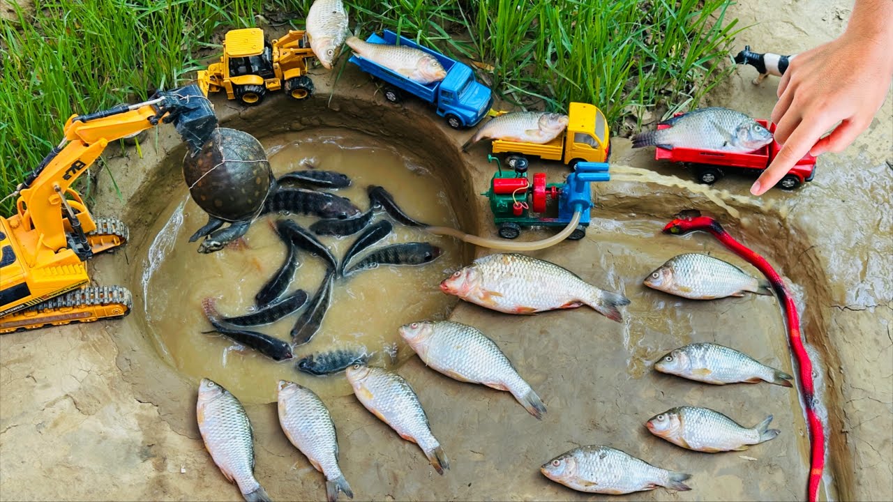 catch fish using mini water pump | diy tractor | catch fish | @Mini ...