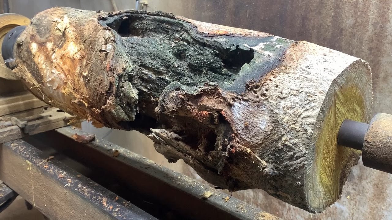 Ghostly Woodworking Turn Rotten Branches Into Unique Works of Art - YouTube