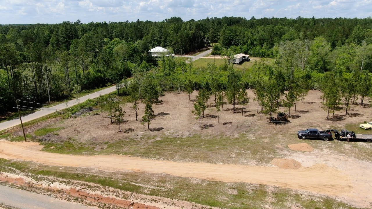 Mulching some heavy underbrushing in South West Mississippi - YouTube