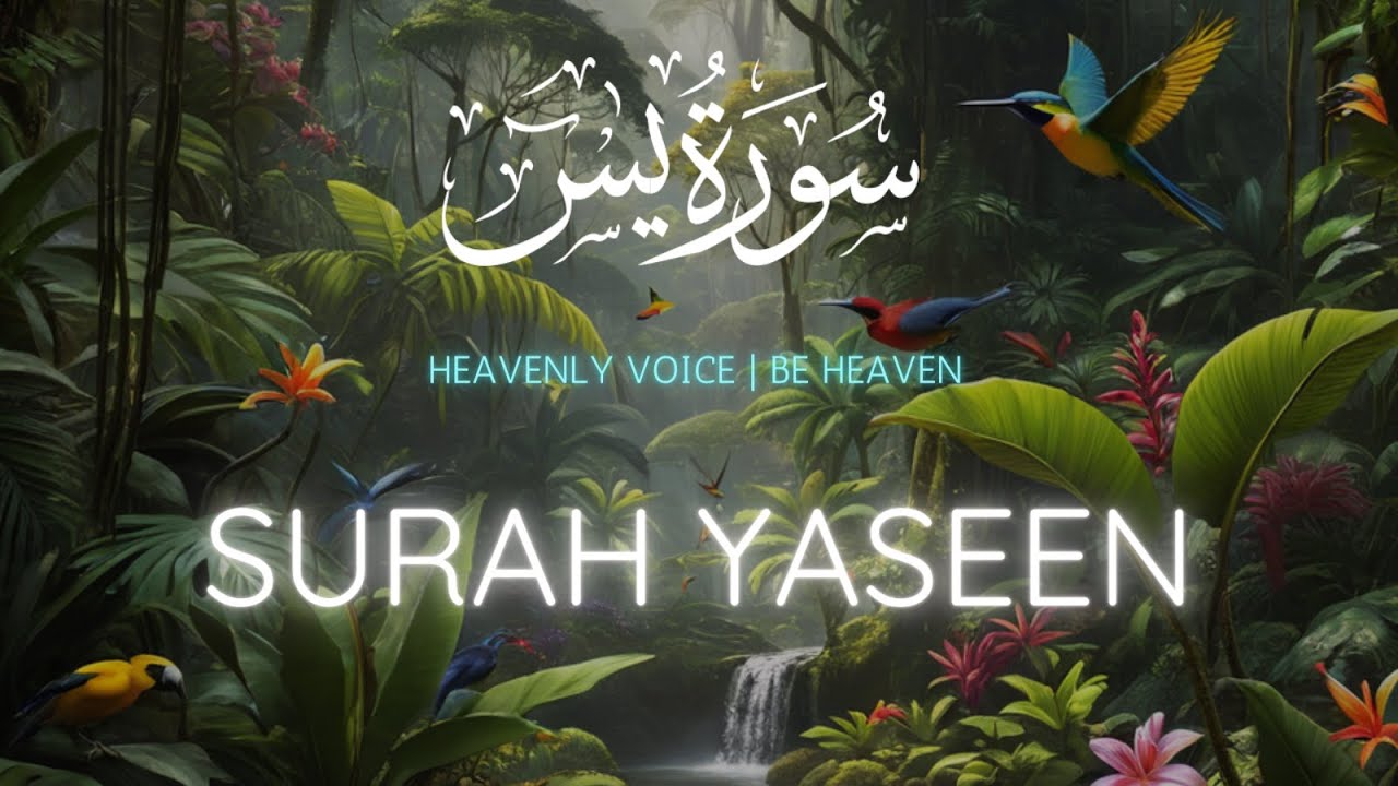 Surah Yaseen yasin Omar Hisham Al Arabi سورة يس