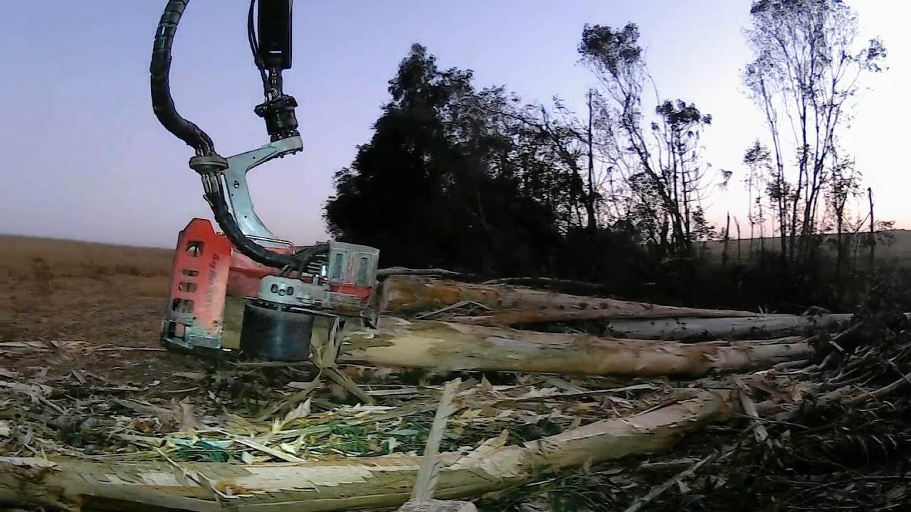 Cabeçote Log Max 5000D Processo Eucalipto Full Tree Extreme - YouTube