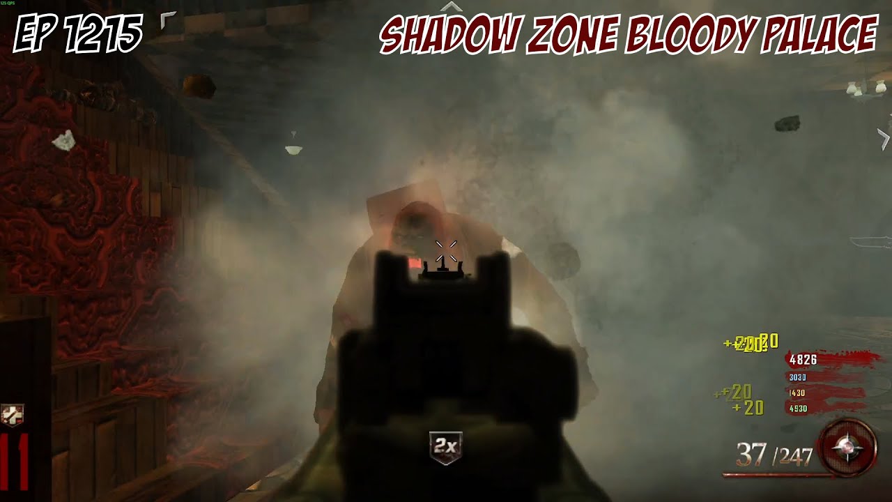 Shadow Zone Bloody Palace - SÉRIE COD WAW CZ#1215 - YouTube