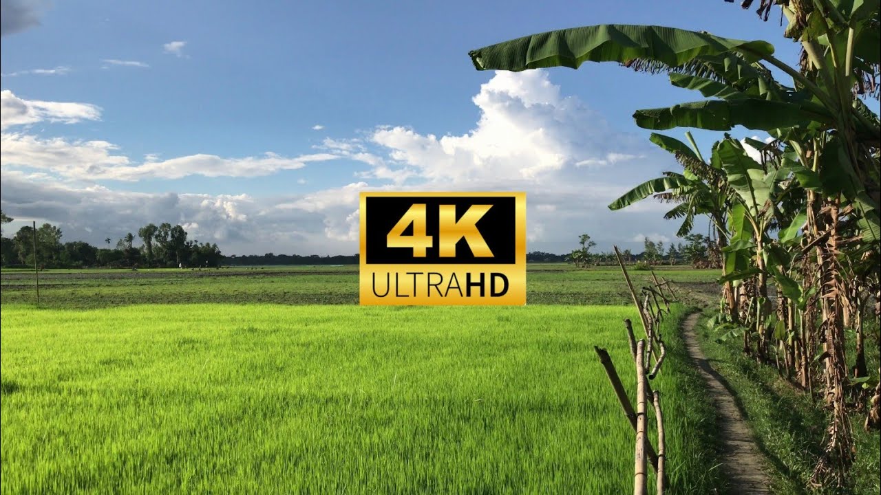 Village View 4k || Bangladesh Villages Beautiful Seen | 4K View | Two ...