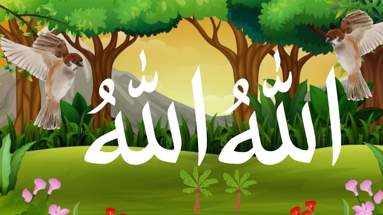 Allah hoo Allah hoo poem #poem for kids#frma islamic tv#lori - YouTube