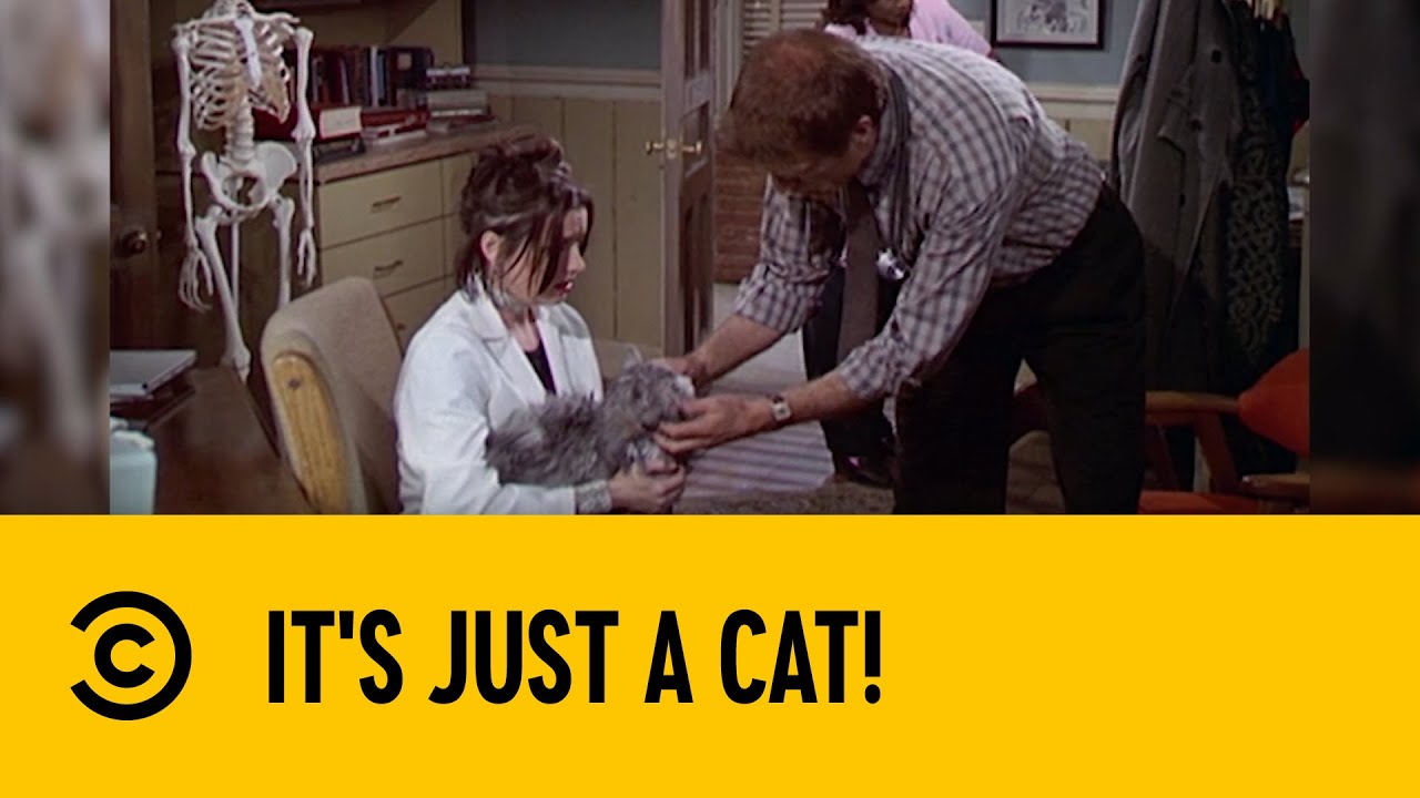It's Just A Cat! | Becker | Comedy Central Africa - YouTube