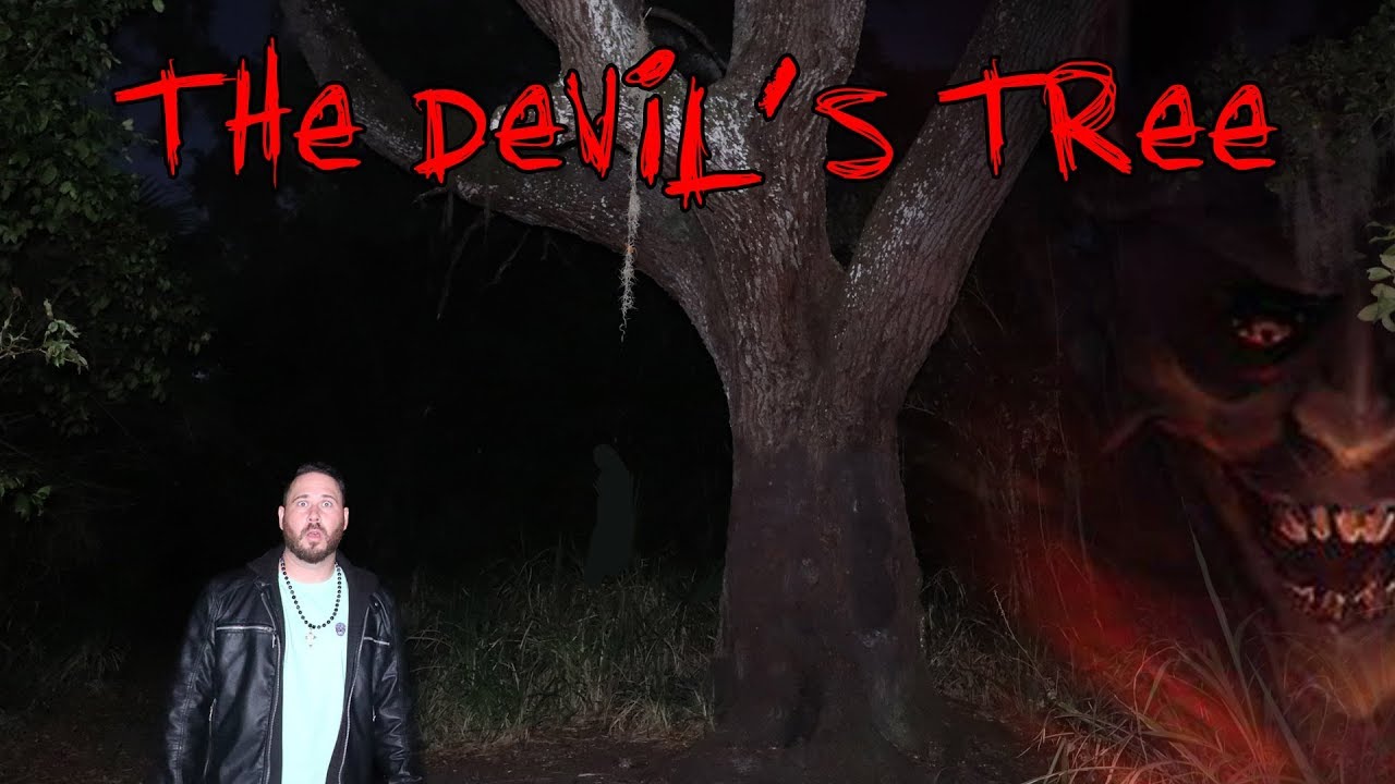 WE WENT TO THE HAUNTED DEVIL'S TREE - YouTube