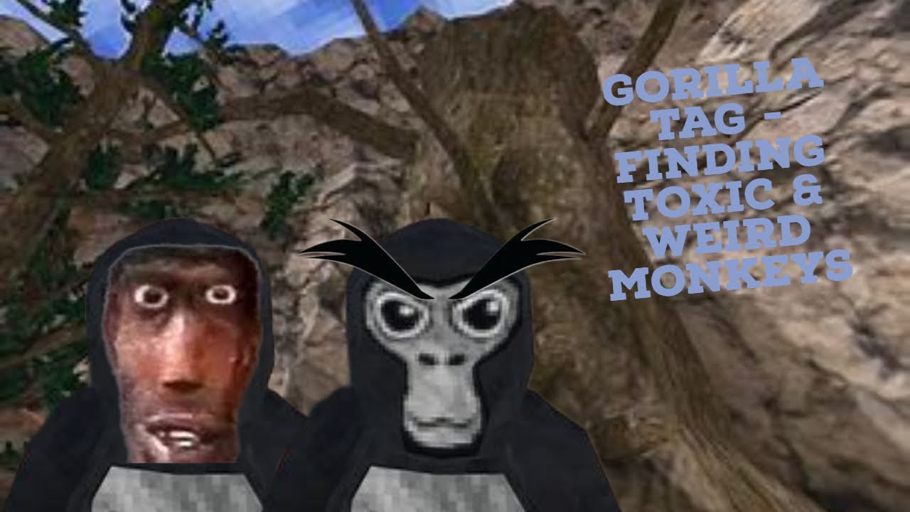 Gorilla Tag Finding Weird & Toxic Monkeys - YouTube