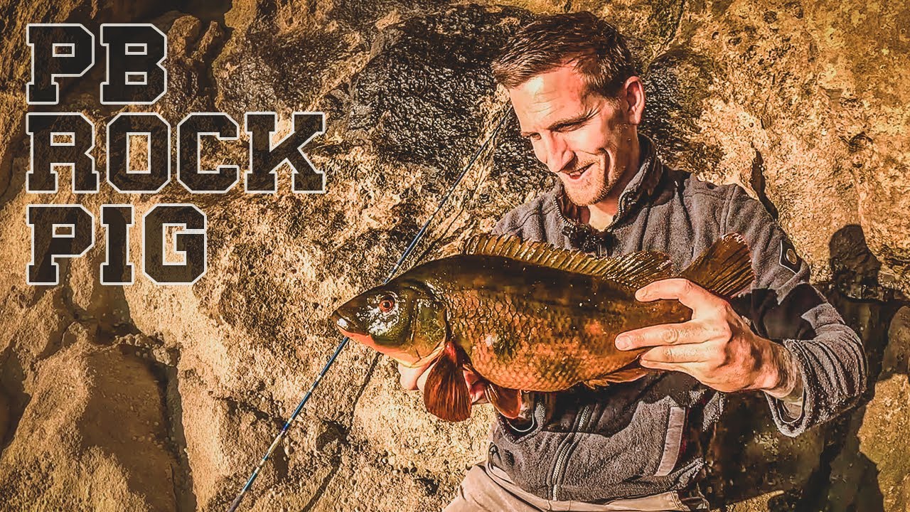 BIG Wrasse on Budget Rigs! Sea Fishing at Dorset's Fossil Forest - YouTube