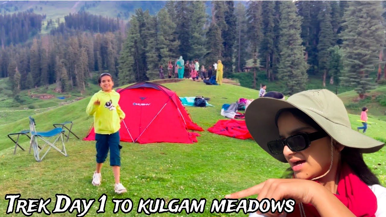 Trekking Tour to kulgam meadows||Incredible beauty of Kulgam meadows 🌲🌼 ...