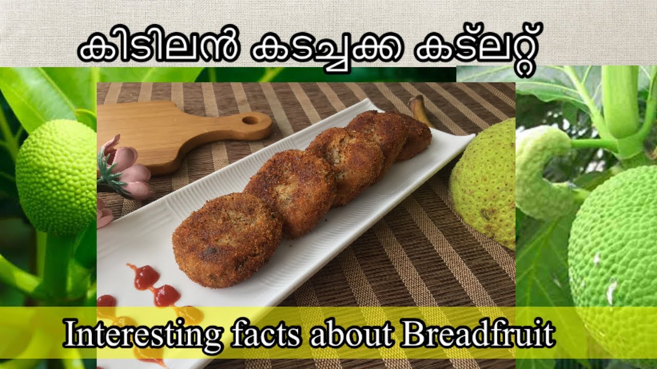 Interesting facts about breadfruit|Best Breadfruit cutlet|Kidilan Kadachakka Cutlet|Facts and ...