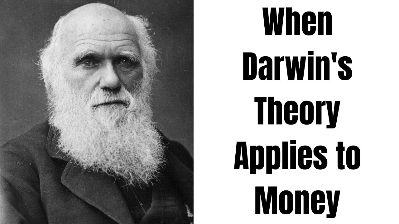 When Darwin's Theory Applies to Money: The Evolution of Finance - YouTube