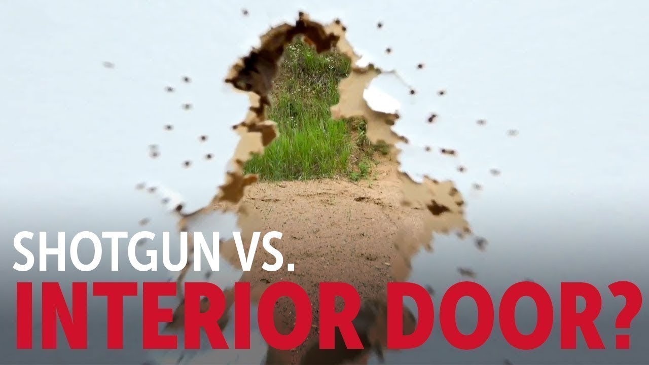 Self Defense Gun Using the Birdshot: Into the Fray Episode 230 - YouTube
