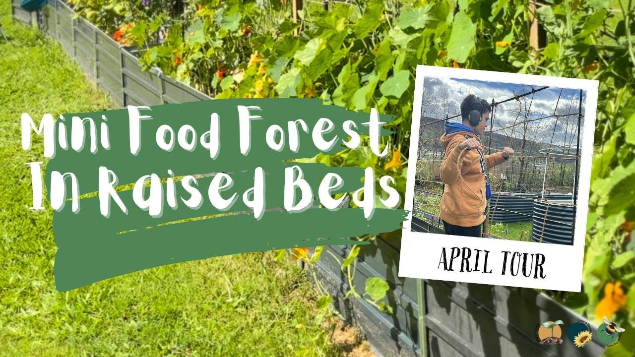 APRIL TOUR: Mini Food Forest In A Raised Bed Path - YouTube