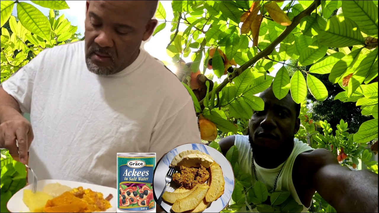 got this Ackee recipe from my friend in USA🇱🇷 My family asks me to cook ...