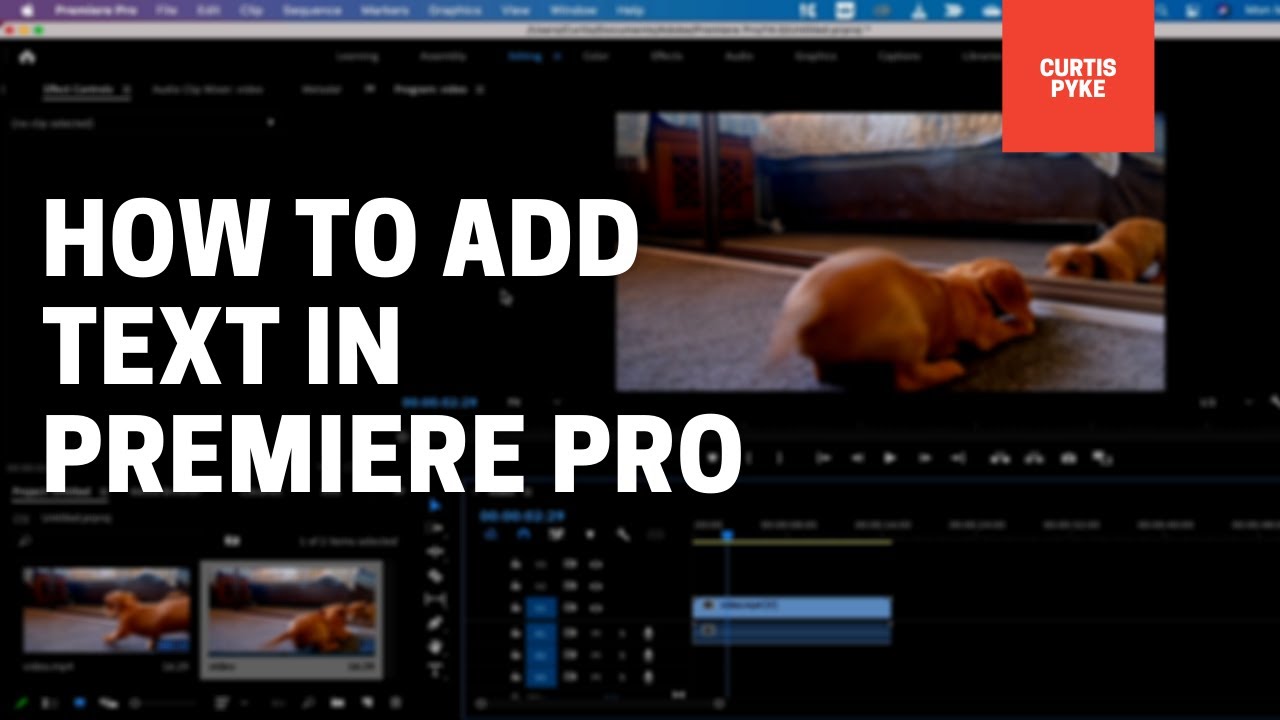 Easily Add Text In Premiere Pro 2021 YouTube easily-add-text-in-premiere-pro-2021-youtube