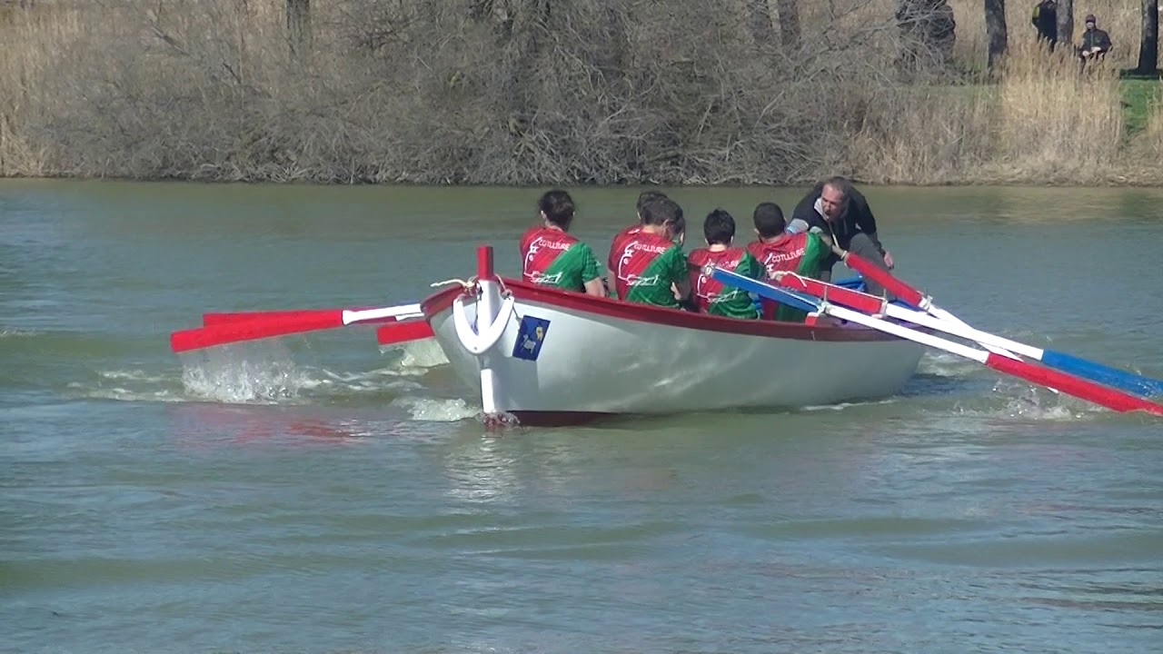 Première manche du championnat national de rame traditionnelle à Mèze ...