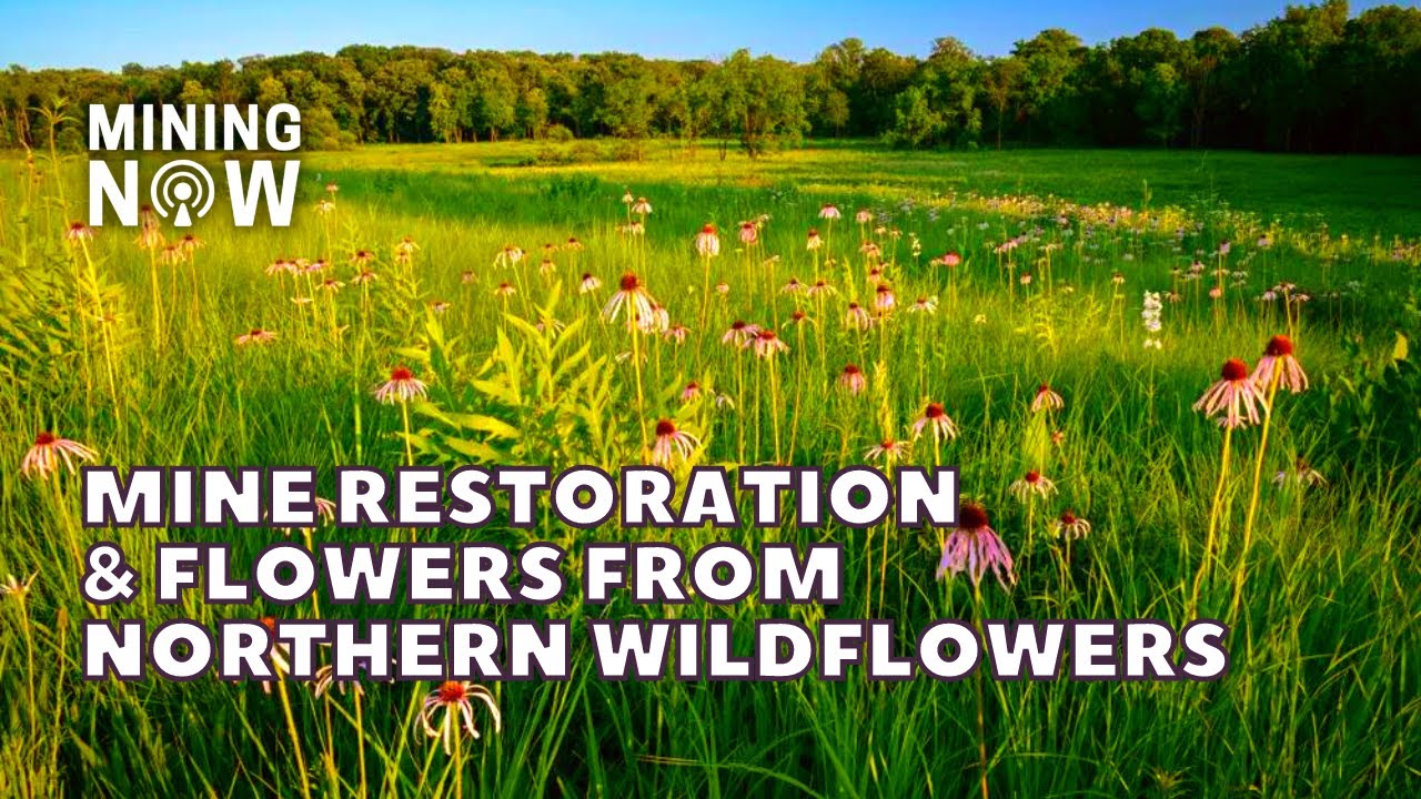 Northern Wildflowers' Mine Restoration & Flowers - YouTube