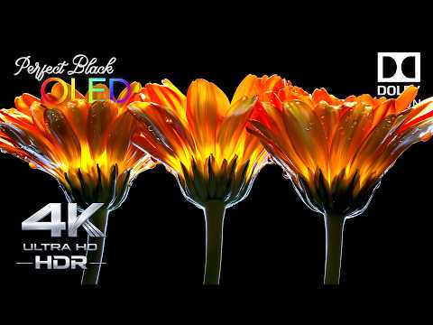 PERFECT BLACKS OLED Dolby Vision Demo 🔥 | 4K HDR 120FPS Ultra HD (8K/4K TV Test)
