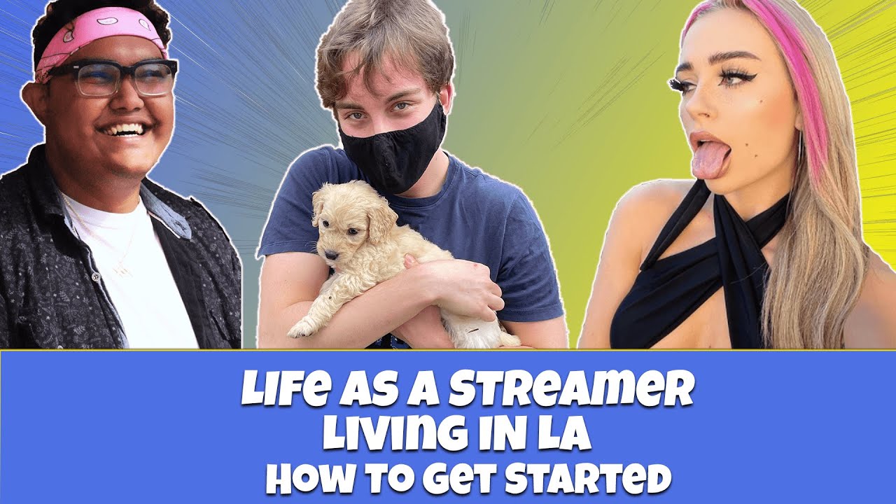 Life as a Streamer ~ Viperous | Night and Day Full Episode - YouTube