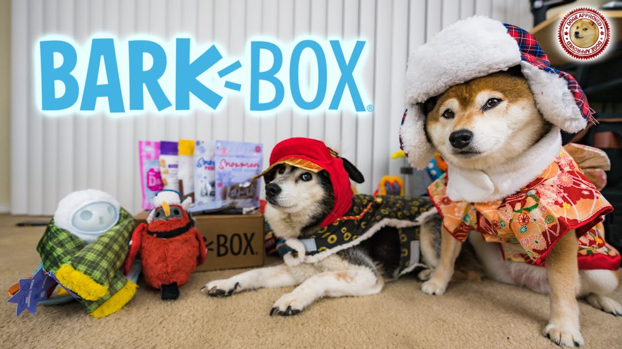 Unboxing the January 2020 BarkBox - Snowbound Hounds (Double Deluxe Box ...